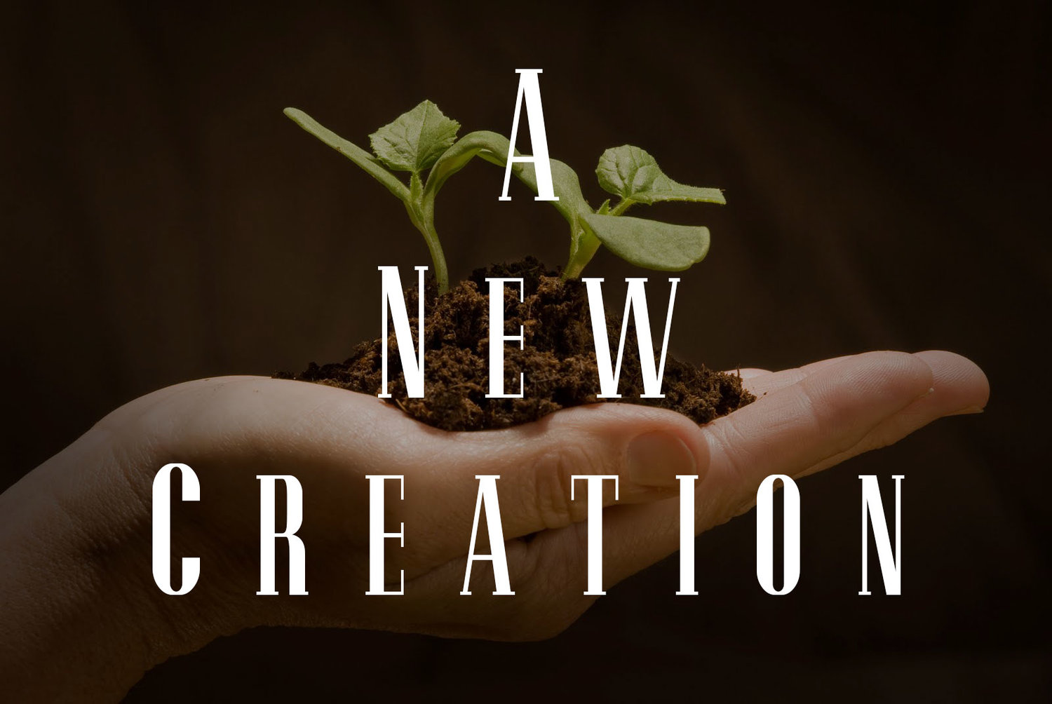 Becoming A New Creation - New Hope Assembly of God in NuMine, PA